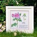 Rose Botanical Cross Stitch Pattern Garden Flower Floral - Etsy