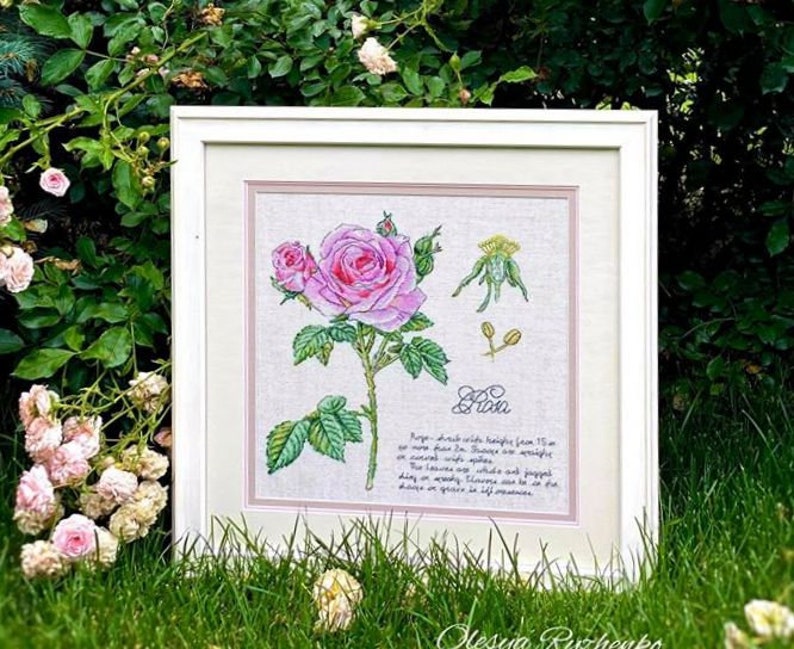 Rose Botanical Cross Stitch Pattern Flower Cross Stitch - Etsy