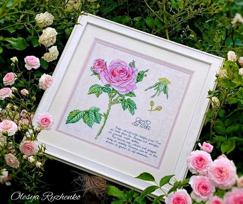 Rose Botanical Cross Stitch Pattern Flower Cross Stitch - Etsy