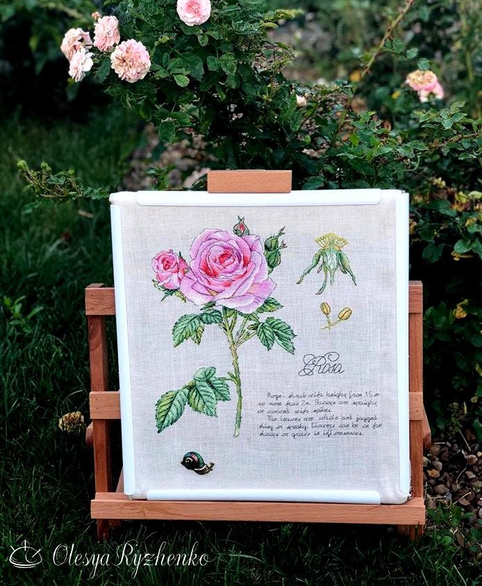 Rose Botanical Cross Stitch Pattern Flower Cross Stitch - Etsy