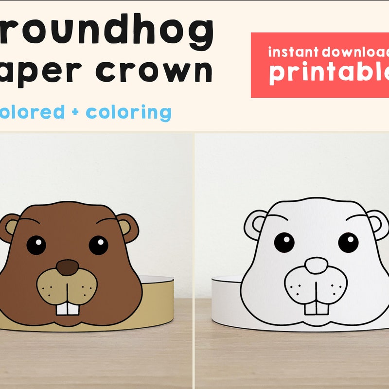 Groundhog Costume - Etsy