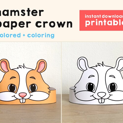 Hamster Toilet Paper Roll Craft Rodent Pets Animal Party - Etsy