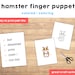 Hamster Paper Craft Printable Pet Animal Finger Puppet Guinea Pig ...