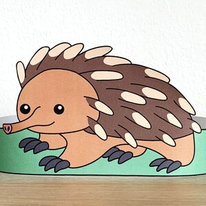 Echidna Paper Crown Australian Animal Template Coloring Activity ...