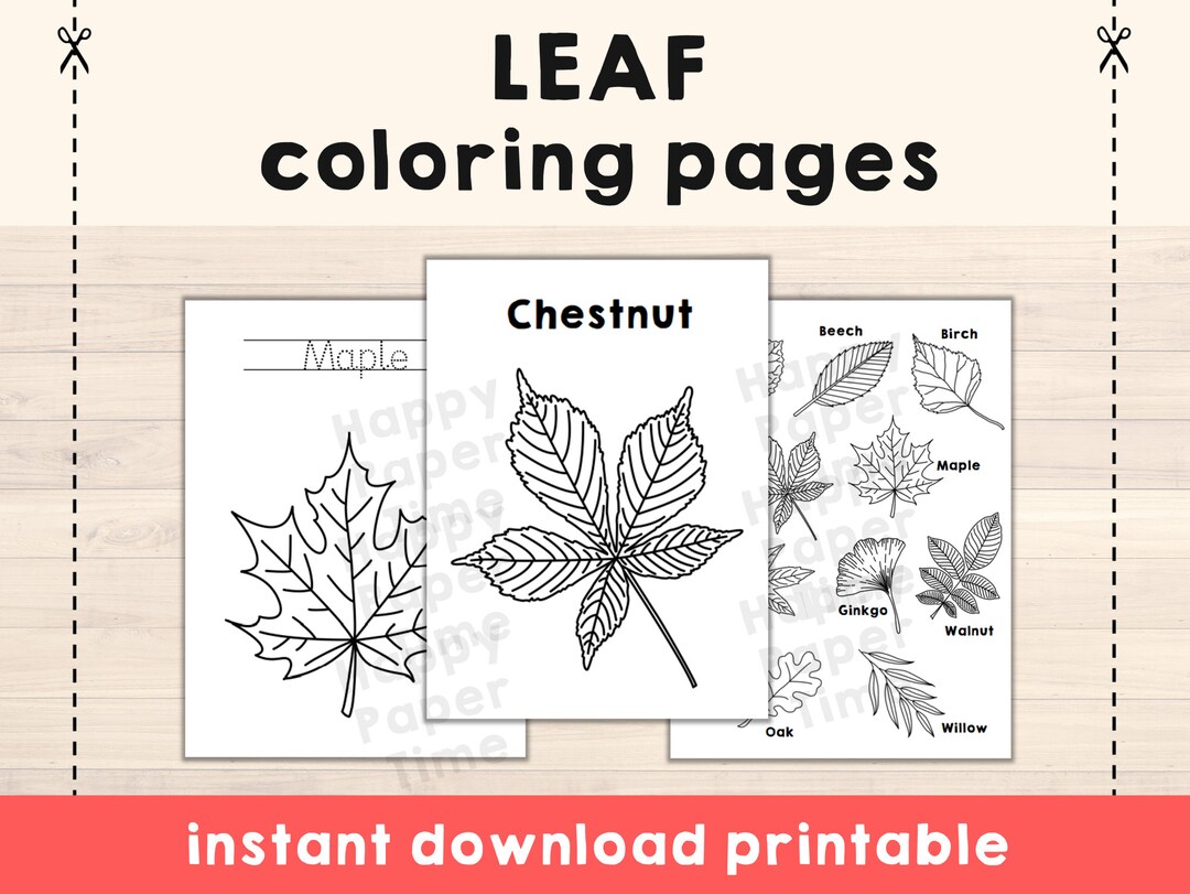 Leaf Coloring Pages - Fall Autumn Leaves Printable Nature Biology Art ...