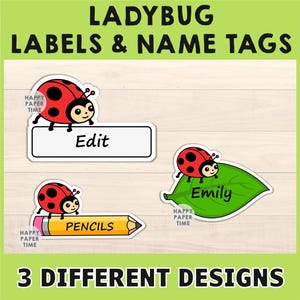 Ladybug Name Tags Classroom Labels Bug Insect Animal Spring Editable ...