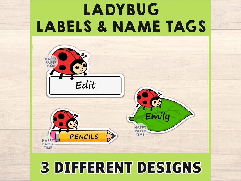 Ladybug Name Tags Classroom Labels Bug Insect Animal Spring Editable ...