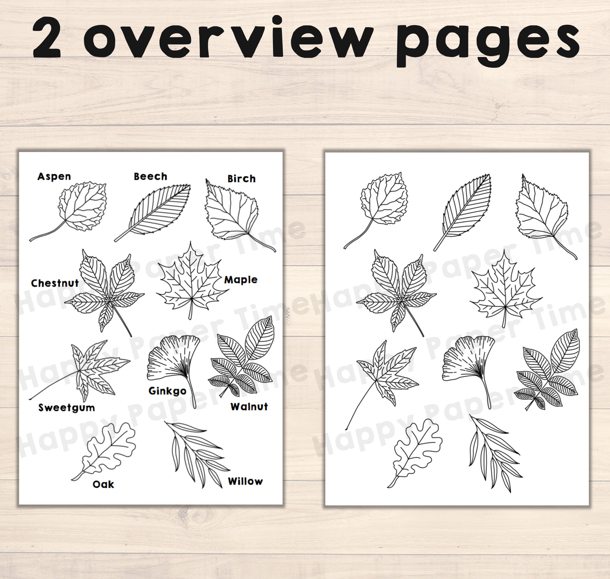 Leaf Coloring Pages - Fall Autumn Leaves Printable Nature Biology Art ...