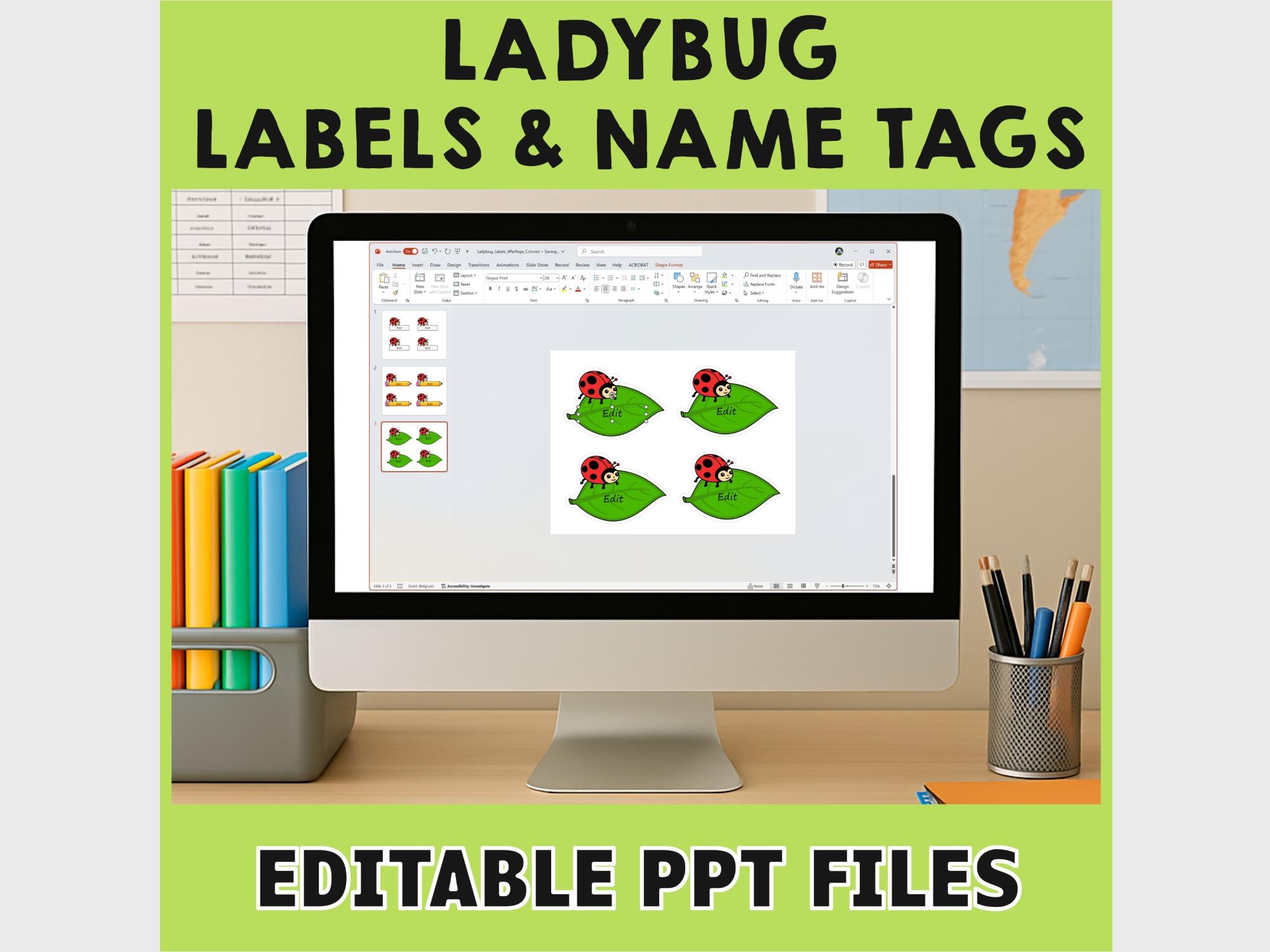 Ladybug Name Tags Classroom Labels Bug Insect Animal Spring Editable ...