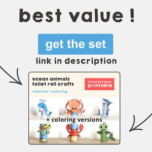 Sea Turtle Toilet Paper Roll Craft Ocean Animal Beach Sea Party ...