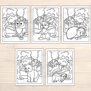 Forest Animals Coloring Pages - Woodland Theme Printable Art Activity ...