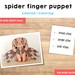 Spider Paper Craft Printable Finger Puppet Bug Template Kids - Etsy