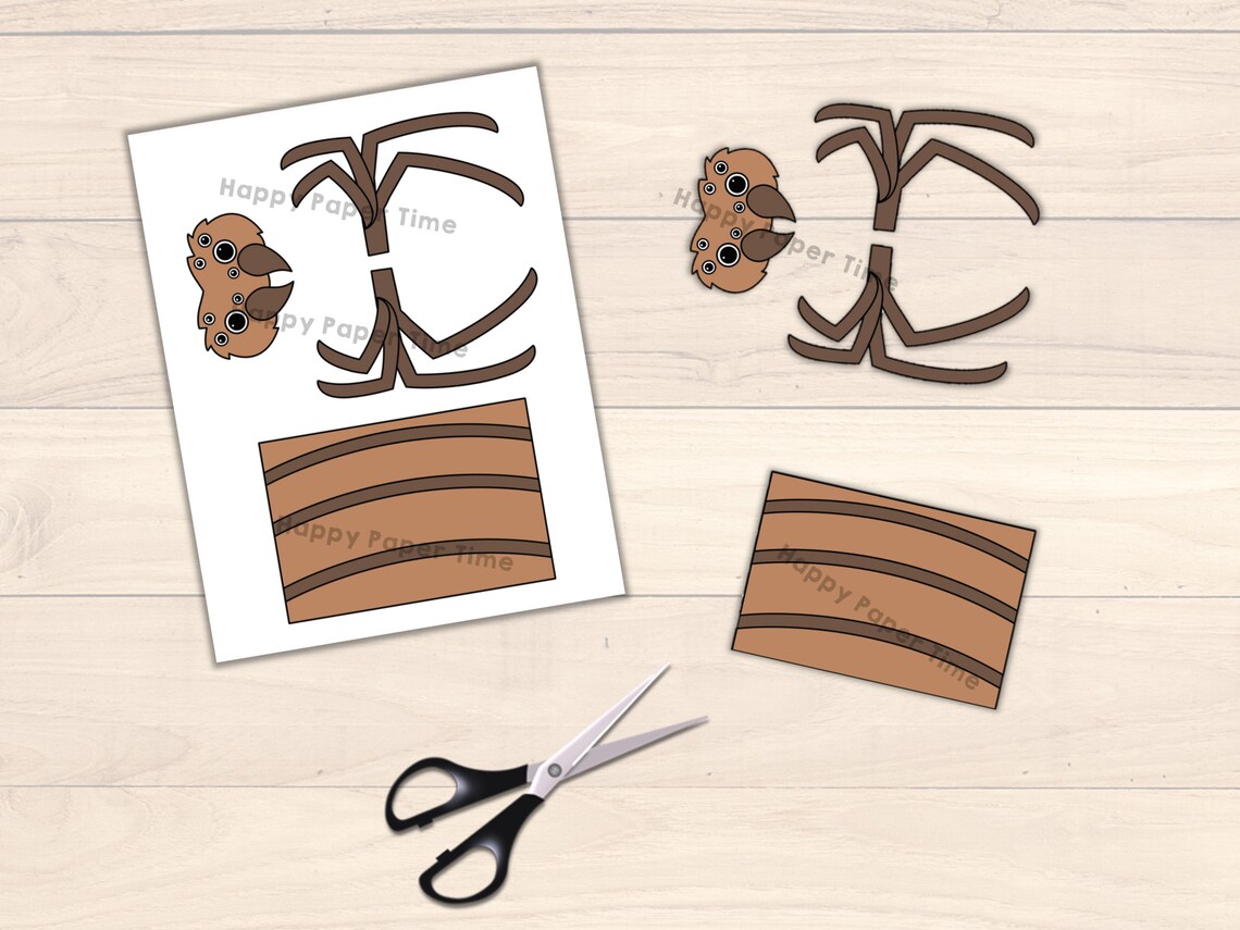 Spider Toilet Paper Roll Craft Bugs Insects Party Coloring - Etsy