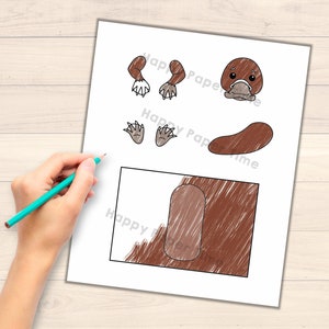 Platypus Toilet Paper Roll Craft Australian Animal Party Coloring ...