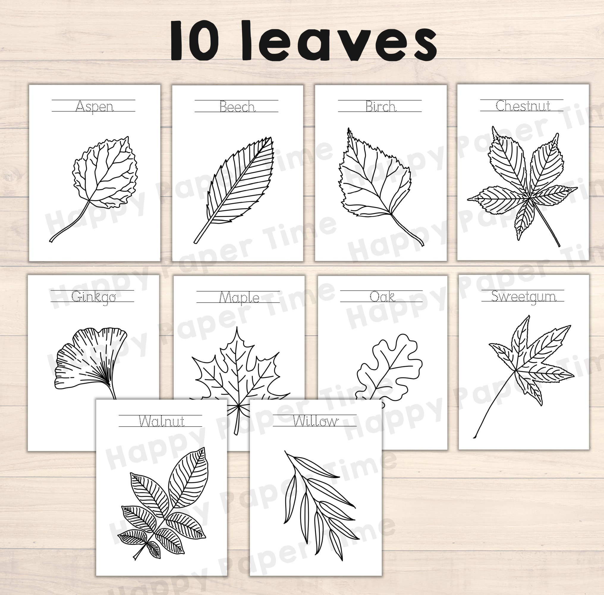 Leaf Coloring Pages - Fall Autumn Leaves Printable Nature Biology Art ...
