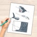 Shark Toilet Paper Roll Craft Ocean Animal Beach Sea Party Coloring ...
