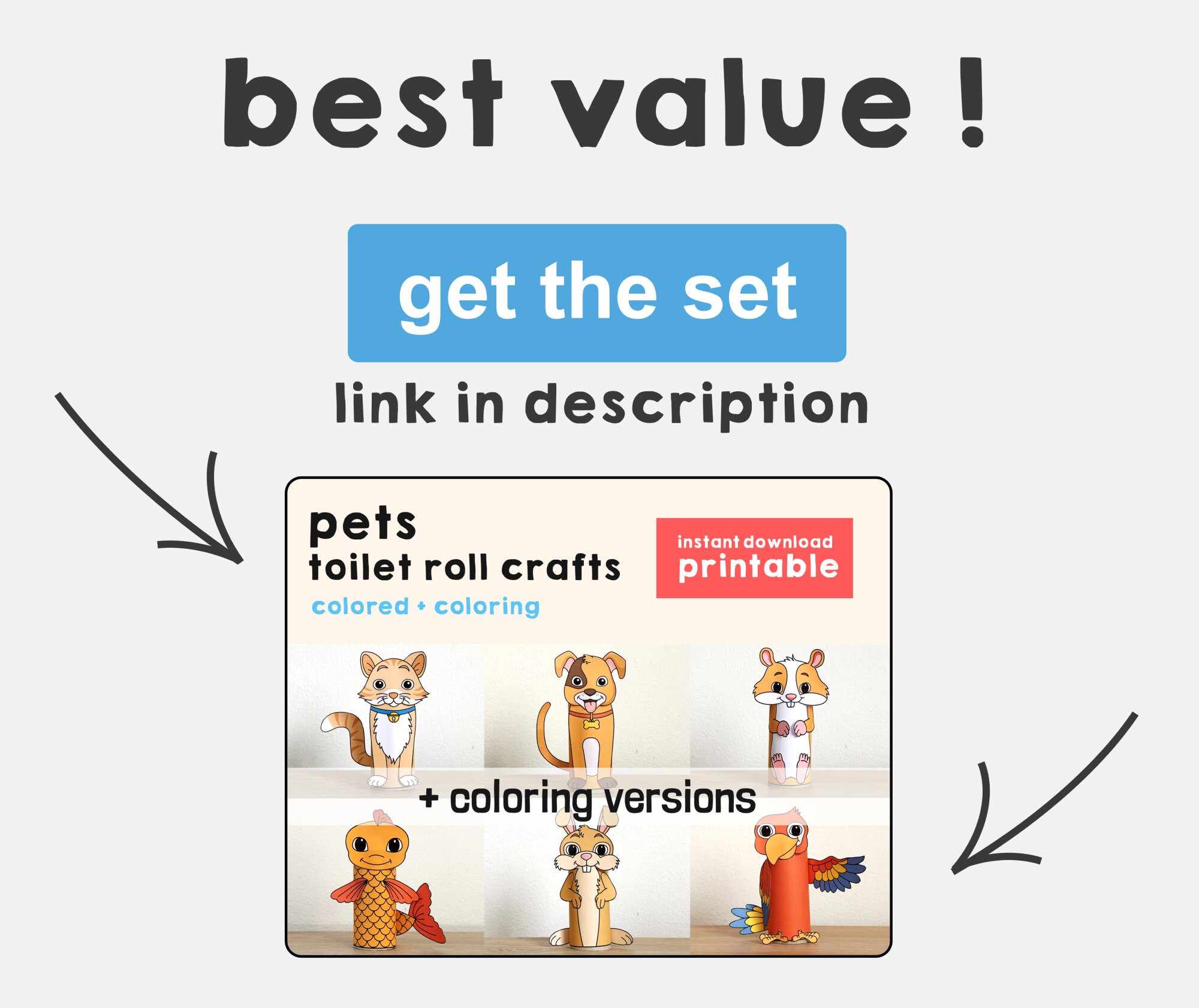 Parrot Toilet Paper Roll Craft Bird Pets Animal Party Coloring - Etsy