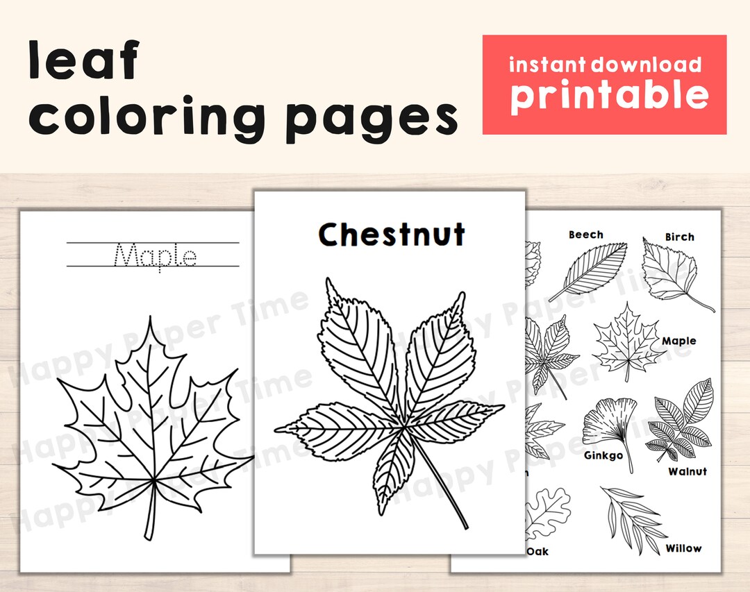 Leaf Coloring Pages Fall Autumn Leaves Printable Nature - Etsy