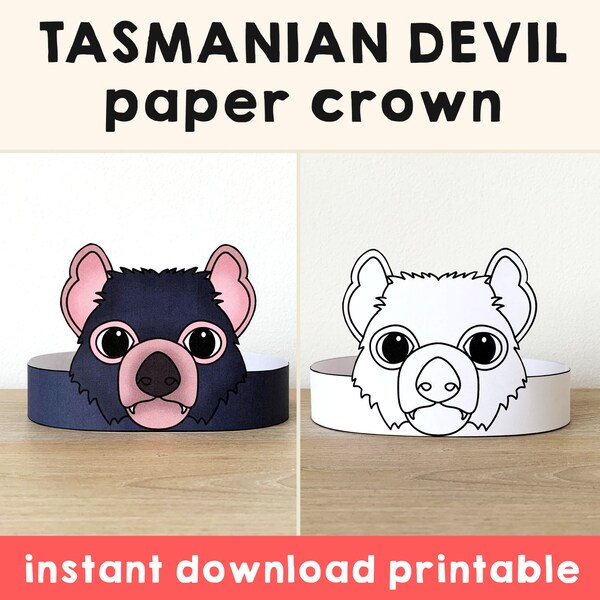 Tasmanian Devil Birthday Decor - Etsy