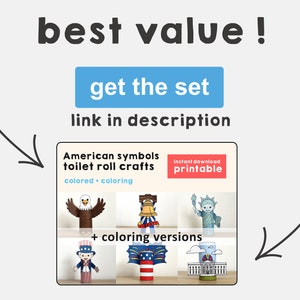 US Flag Toilet Paper Roll Craft America Symbol 4th of July United ...