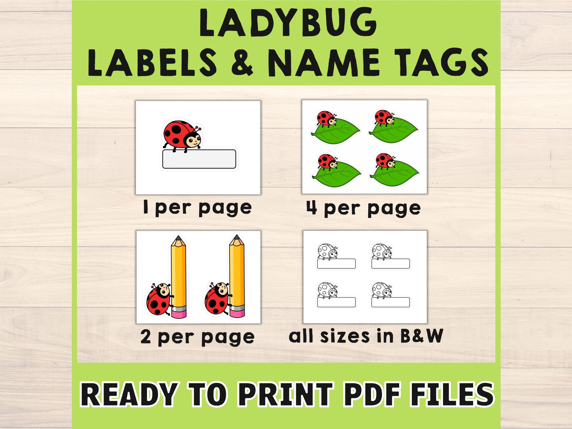 Ladybug Name Tags Classroom Labels Bug Insect Animal Spring Editable ...