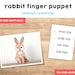 Rabbit Bunny Paper Craft Printable Farm Animal Finger Puppet Kids Craft ...