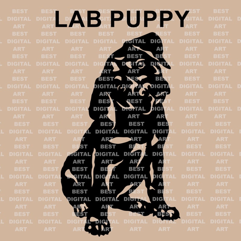 Lab Puppies - Etsy
