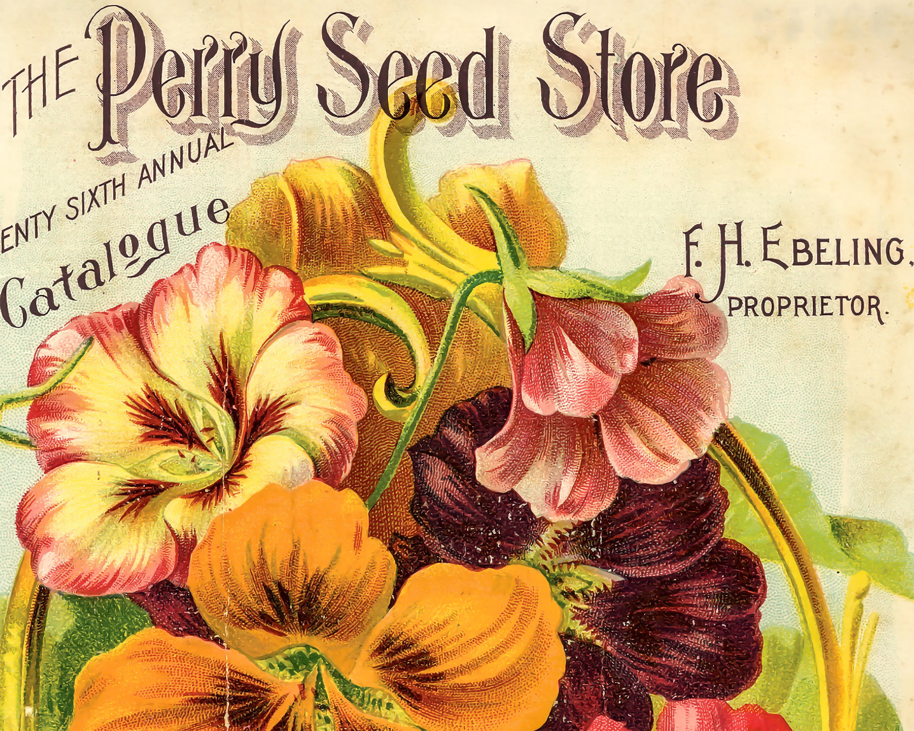 Vintage Flower Printable, Downloadable Catalog Cover, Perry Seed Store ...