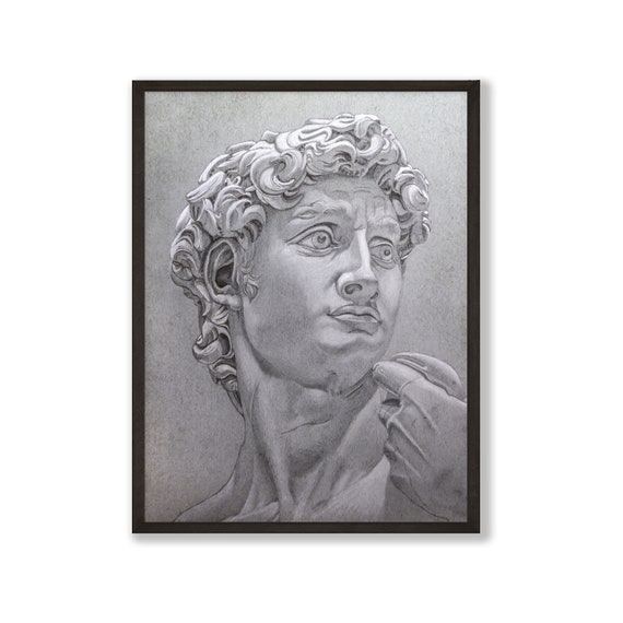Michelangelo David Volto 1.018 Immagini Vettoriali E Grafica