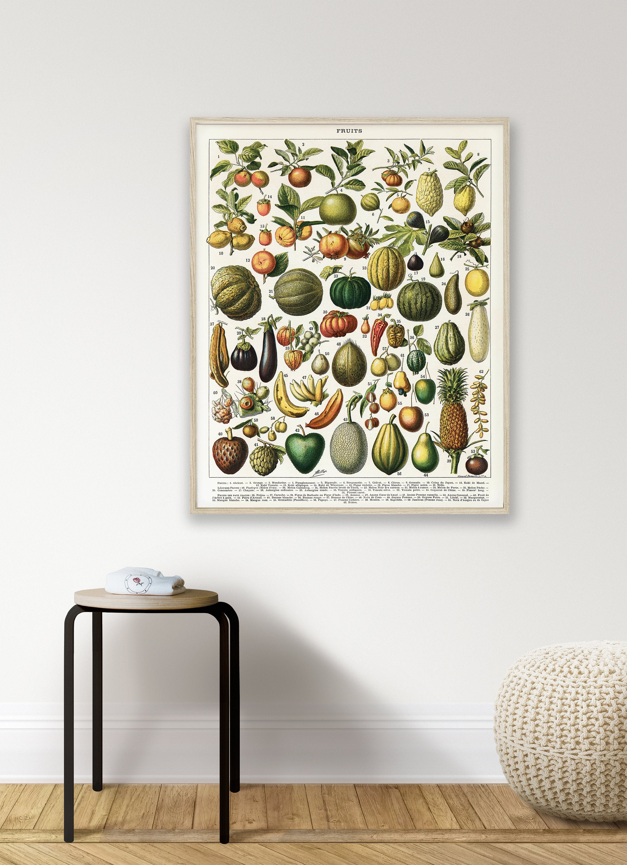 Beautiful Vintage Fruit Poster Printable Wall Art, Downloadable Vintage ...