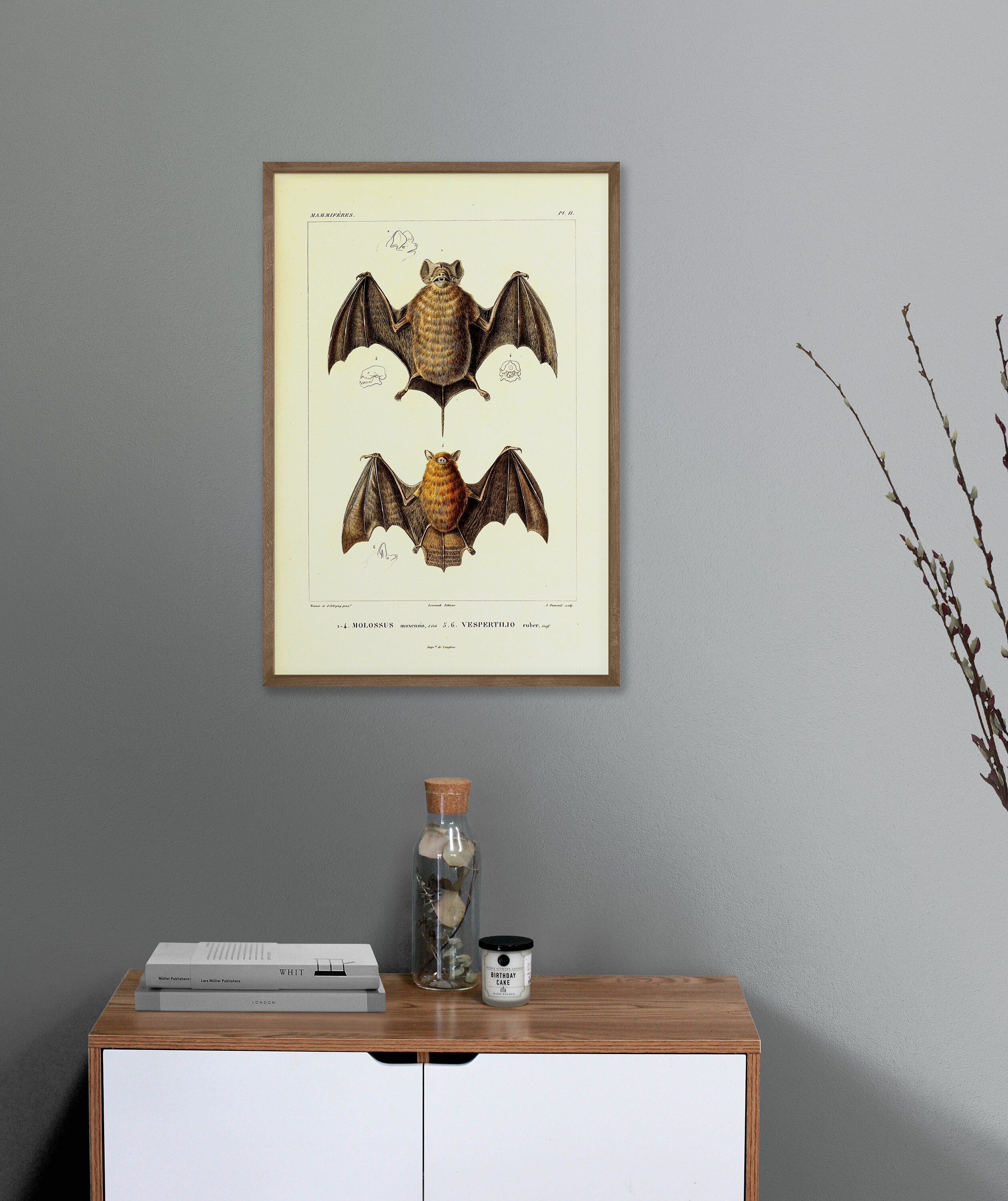 INSTANT DOWNLOAD Bat Wall Art, Vintage Halloween Bat Decor, 2 Bats ...