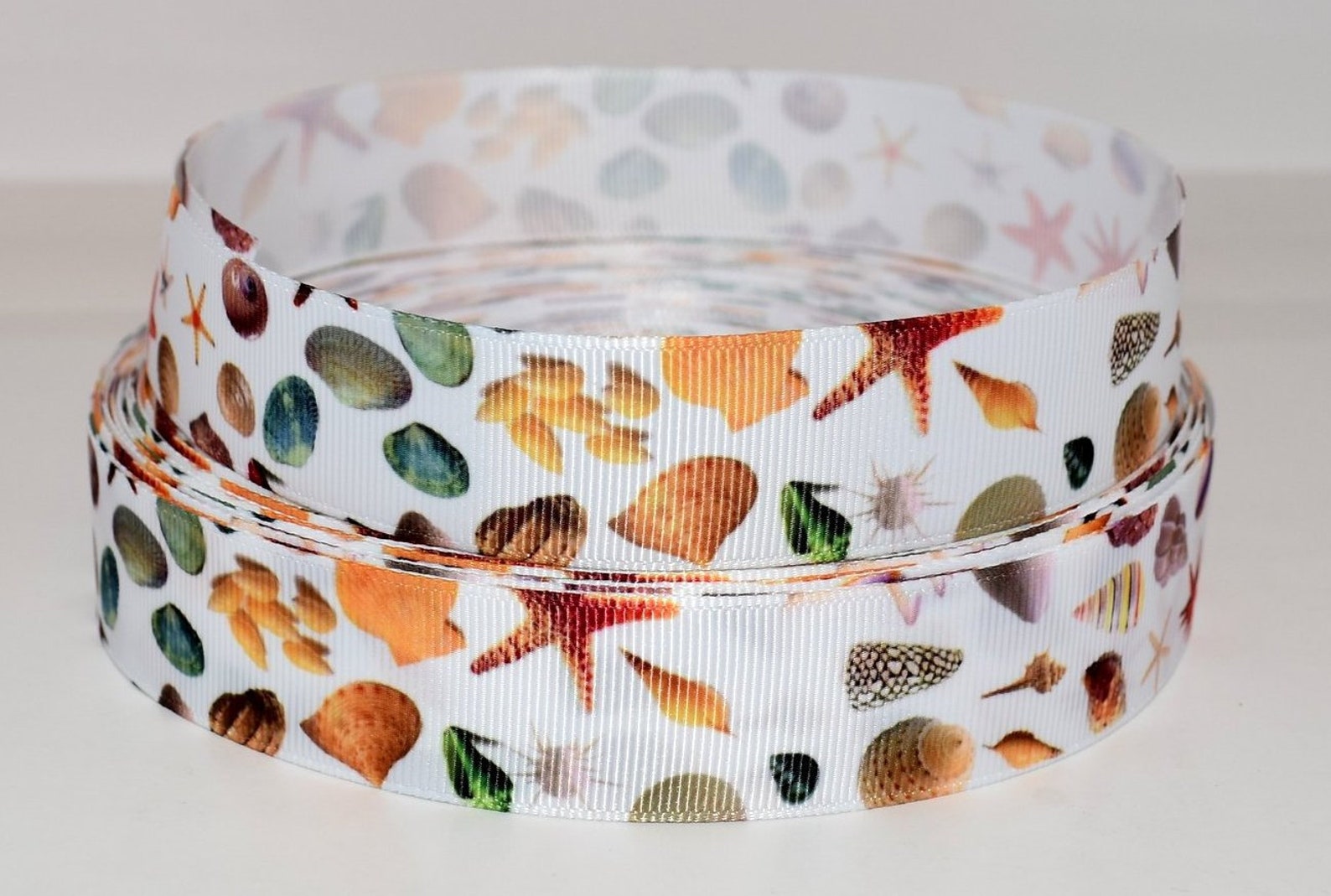 Seashells 1" Grosgrain Ribbon - Etsy