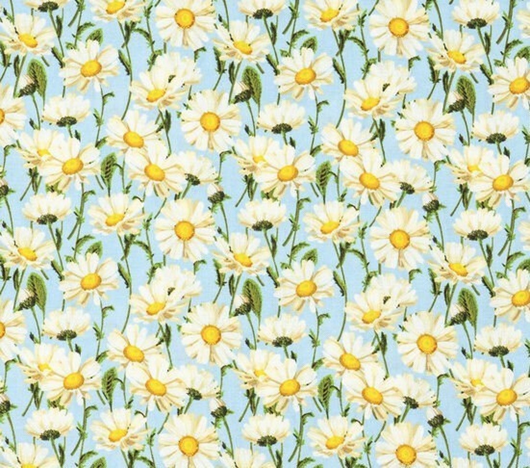Daisy Print on Light Blue Floral Fabric White Daisies on - Etsy