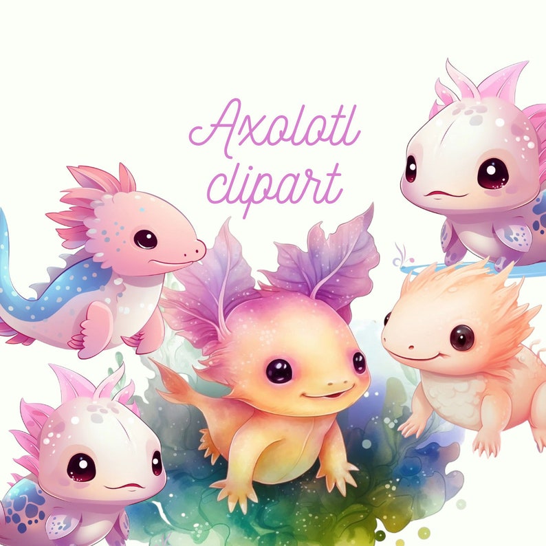 Cute Axolotls Clipart, Cute Axolotl Images 300dpi Png Files - Etsy