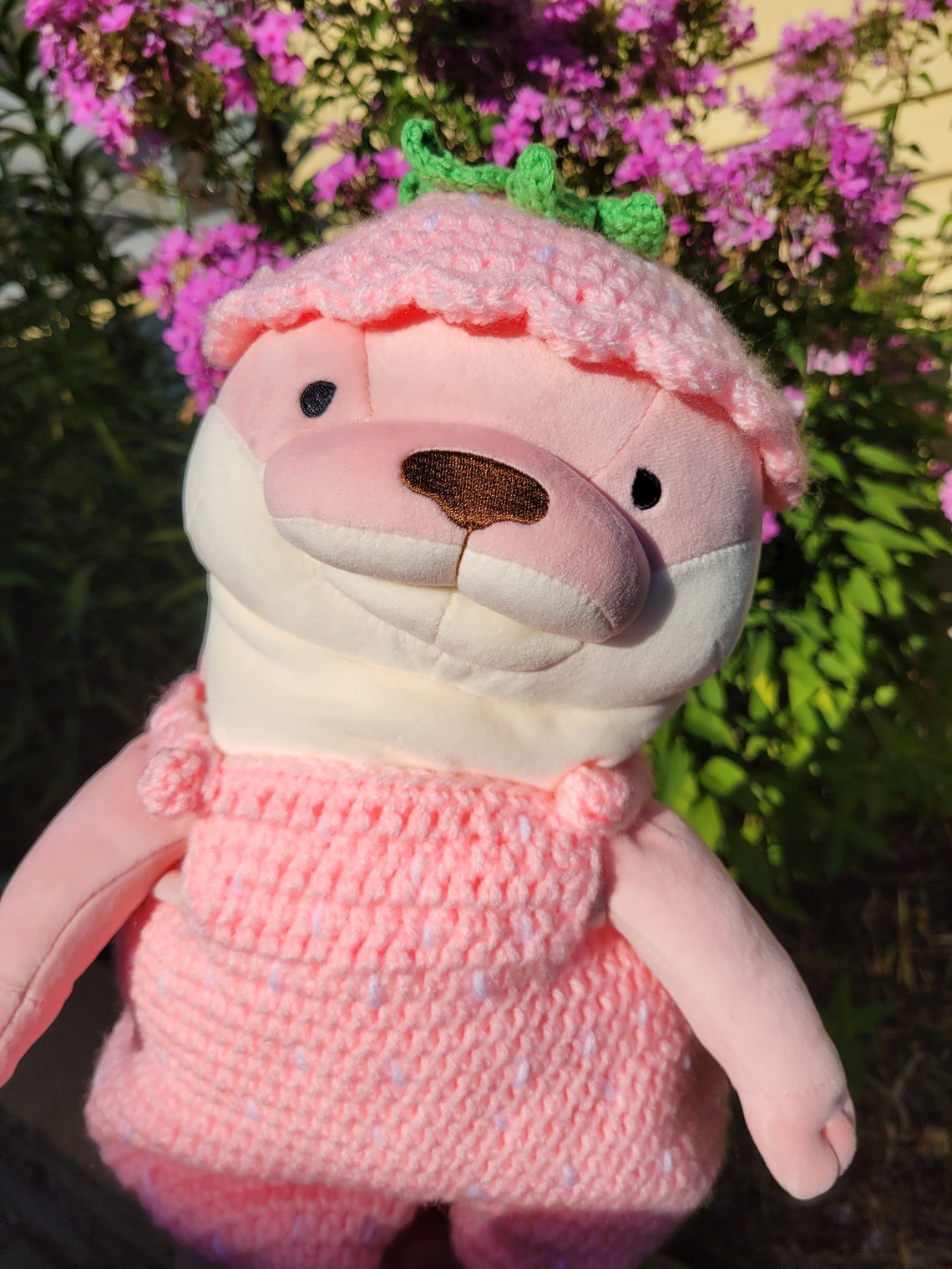 Shinada Global Otter Strawberry Outfit SIZE L - Etsy
