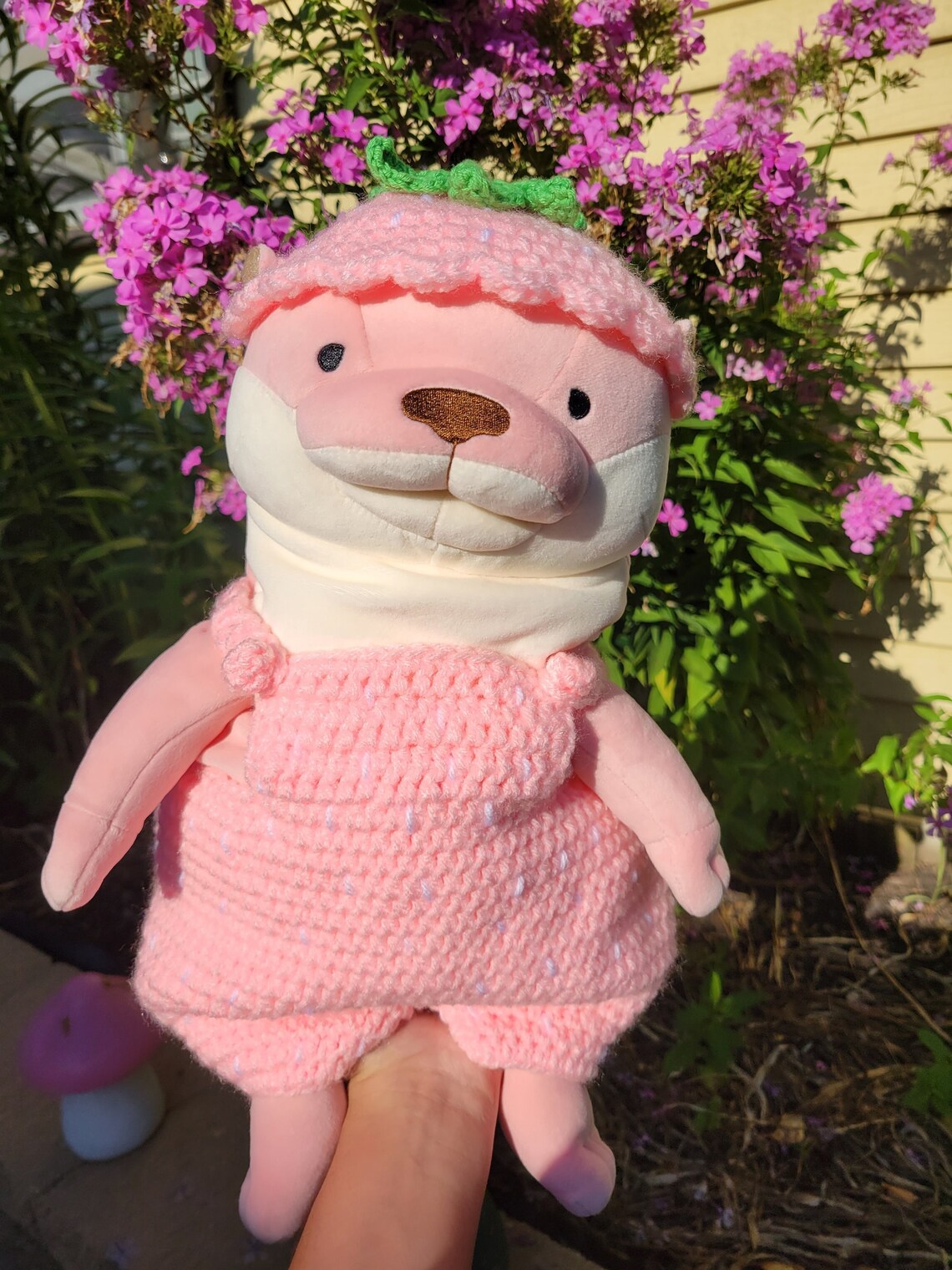 Shinada Global Otter Strawberry Outfit SIZE L - Etsy