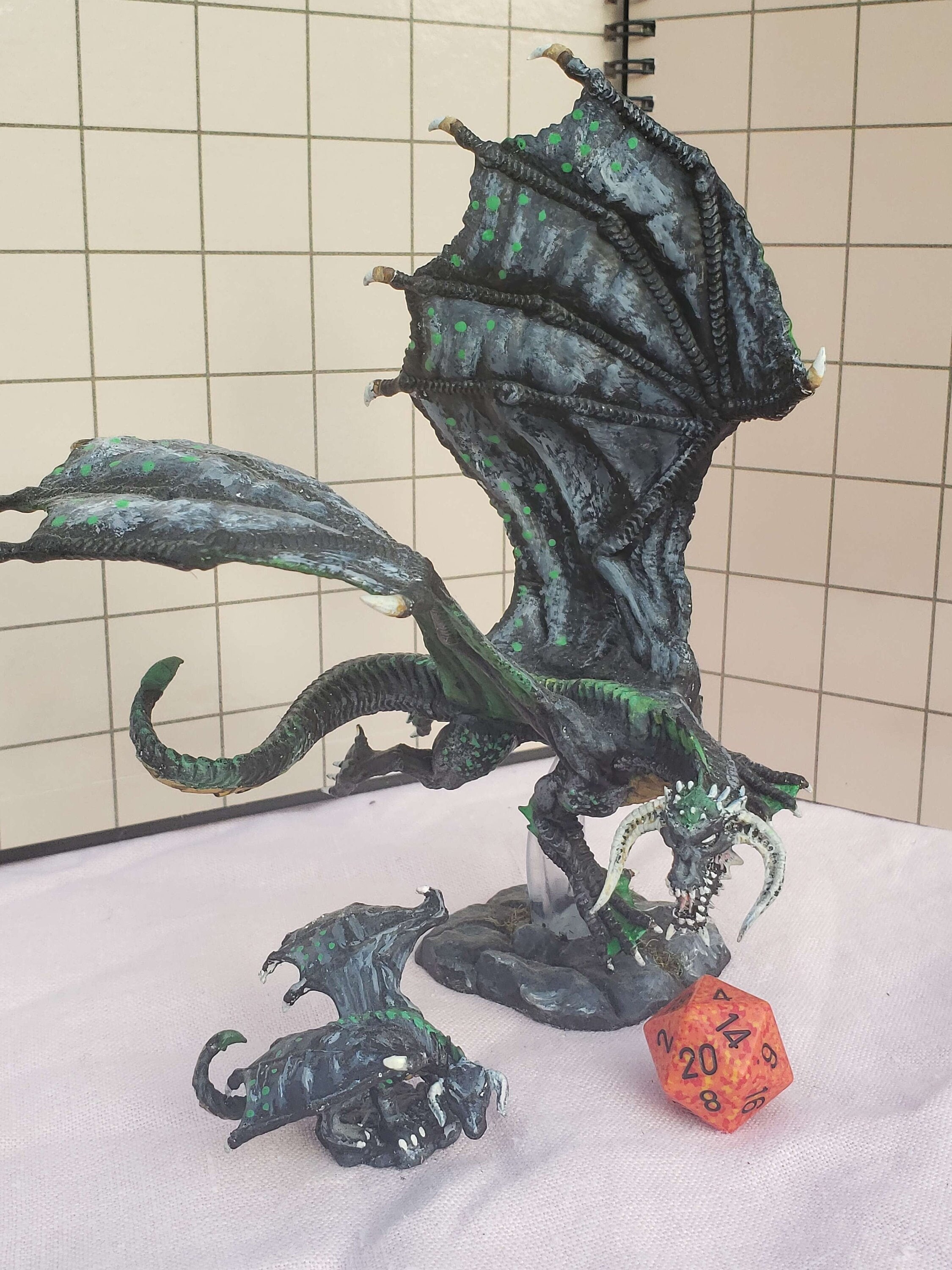 Baby Black Dragons