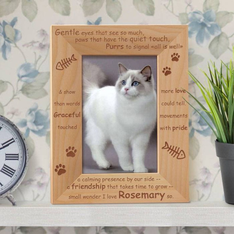 Personalized Cat Photo Frame Pet Picture Frame Engraved | Etsy