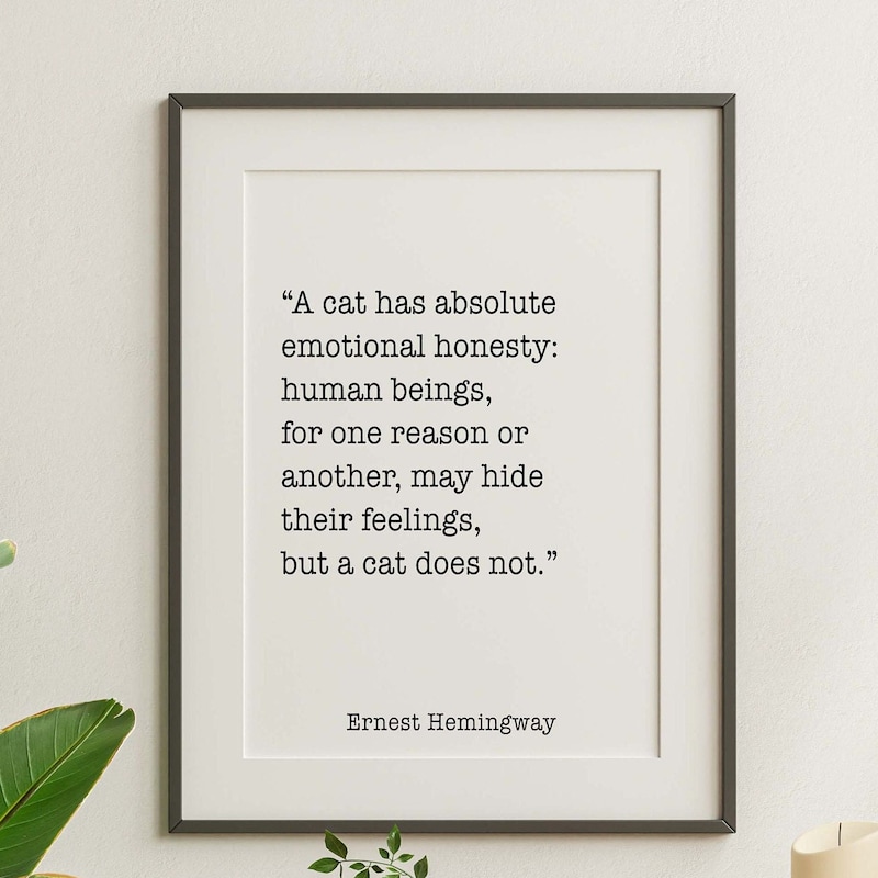 Hemingway Cat - Etsy