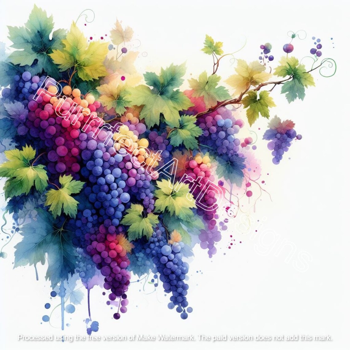 10 Vibrant Grape Vine Clip Arts, Digital Art Download - Etsy