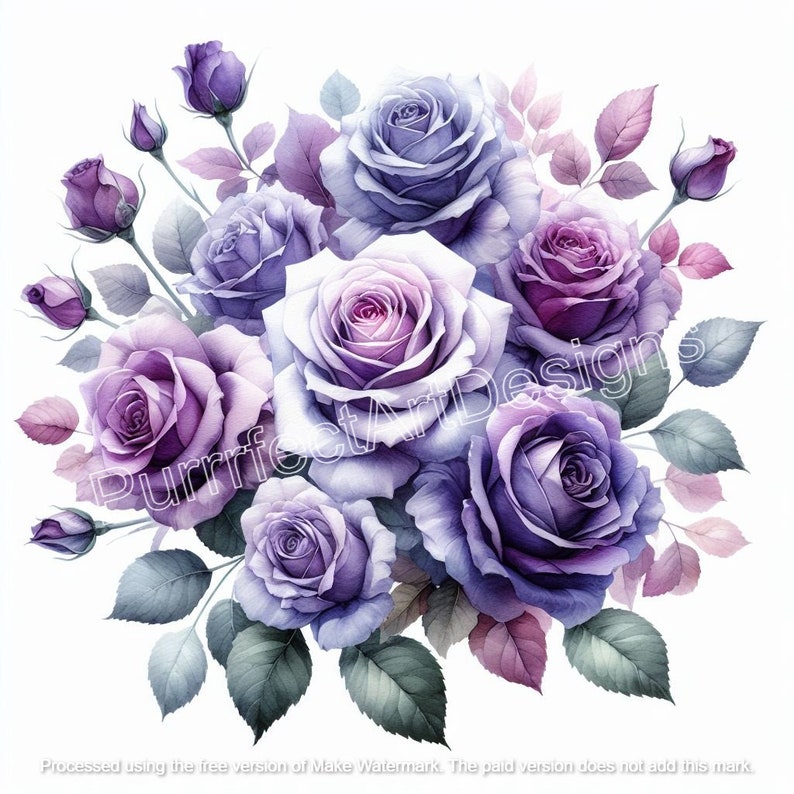 5 Stunning Purple Roses Clip Arts, Digital Art Download - Etsy