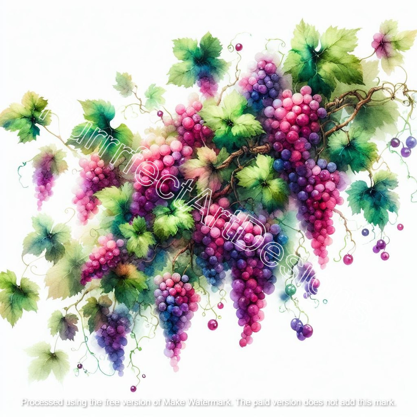 10 Vibrant Grape Vine Clip Arts, Digital Art Download - Etsy