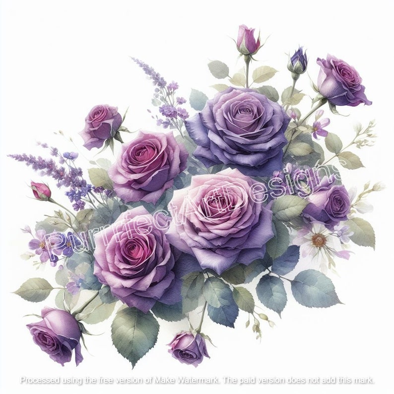5 Stunning Purple Roses Clip Arts, Digital Art Download - Etsy