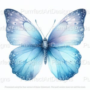 5 Stunning Baby Blue Butterfly Clip Art, Digital Art Download - Etsy