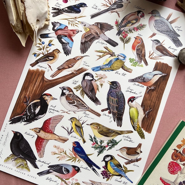 Bird Nature Poster - Etsy