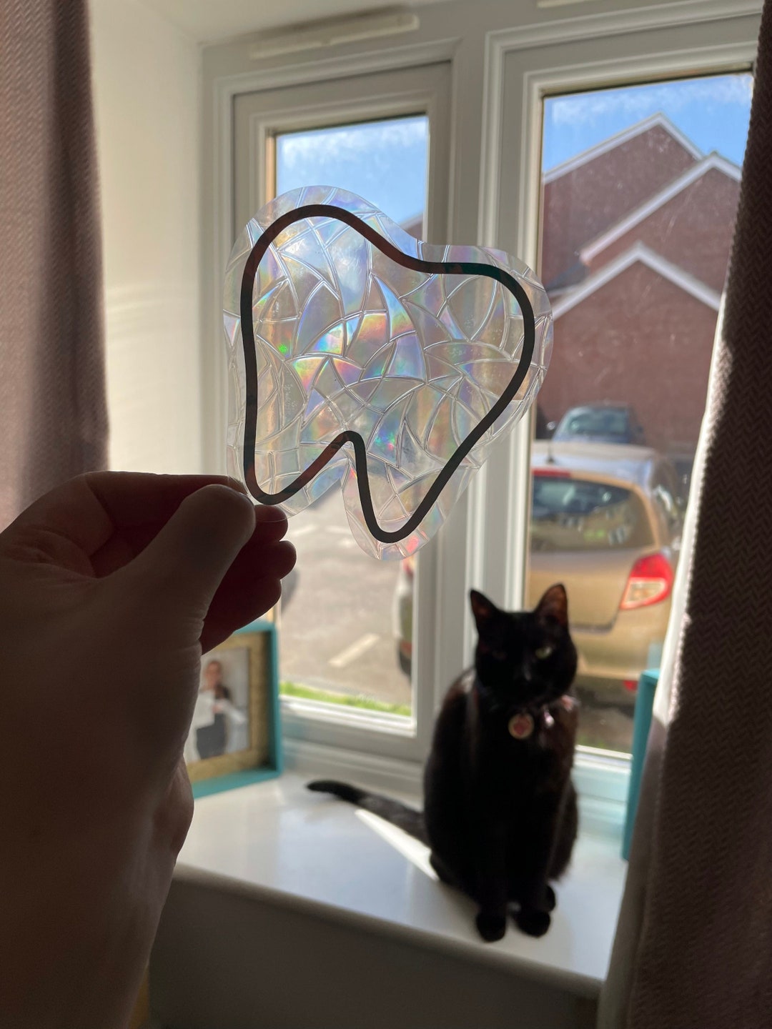 Tooth Rainbow Sun Catcher, Window Decal - Etsy