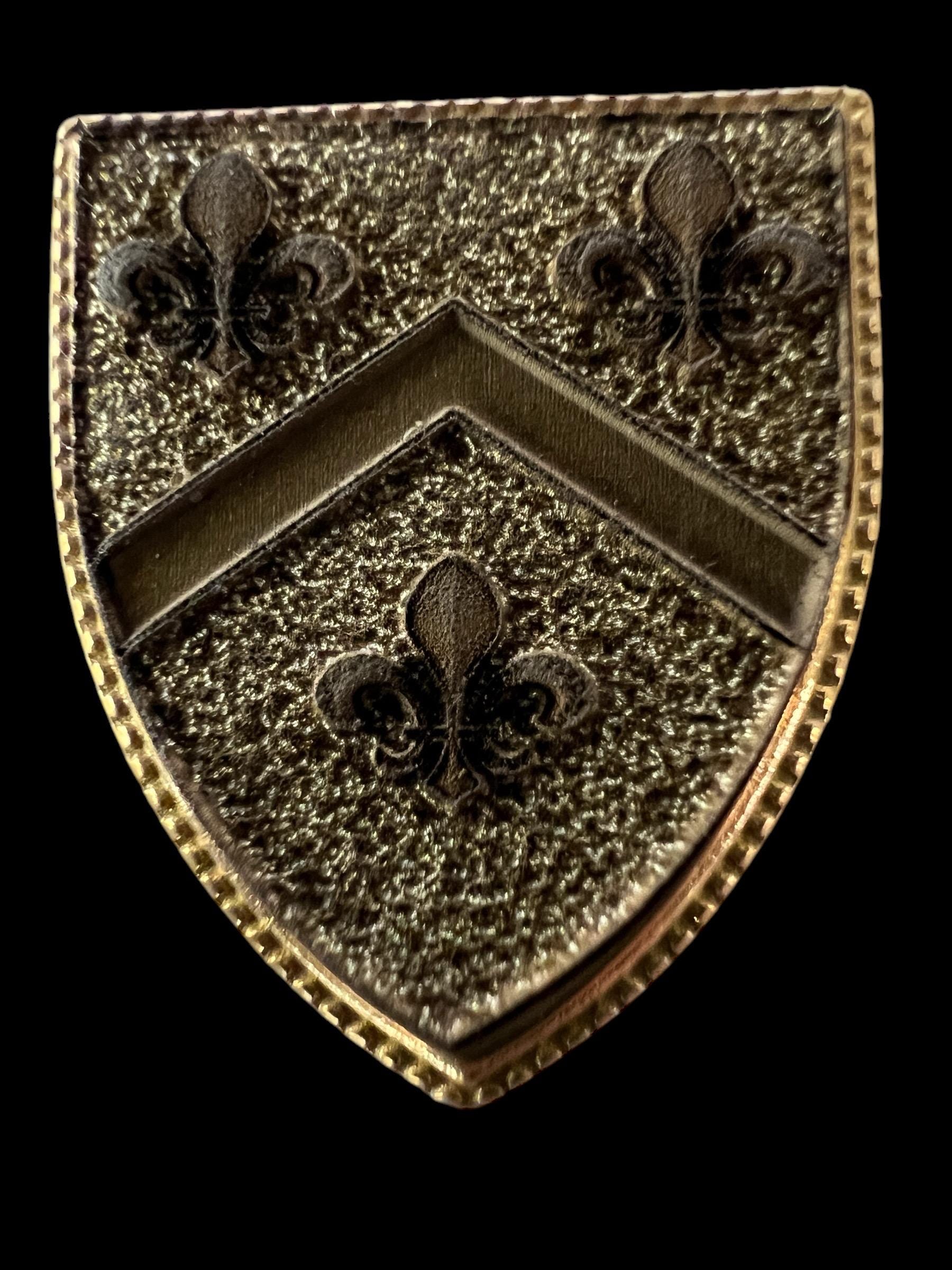 Custom Heraldic Belt Studs - Medieval - SCA - LARP - Reenactment - HEMA ...