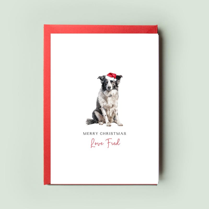Collie Cards - Etsy
