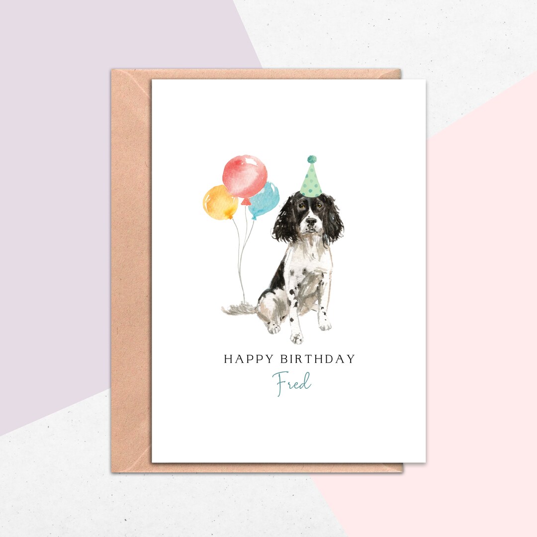 Springer Spaniel Birthday Card From the Dog Birthday Card - Etsy