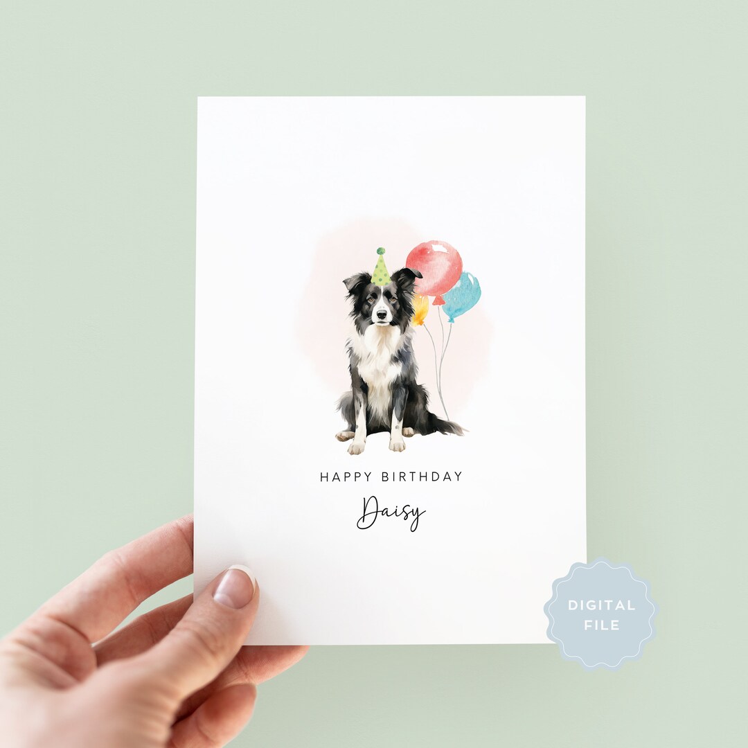 Printable Border Collie Birthday Card From the Dog, Birthday Card for ...